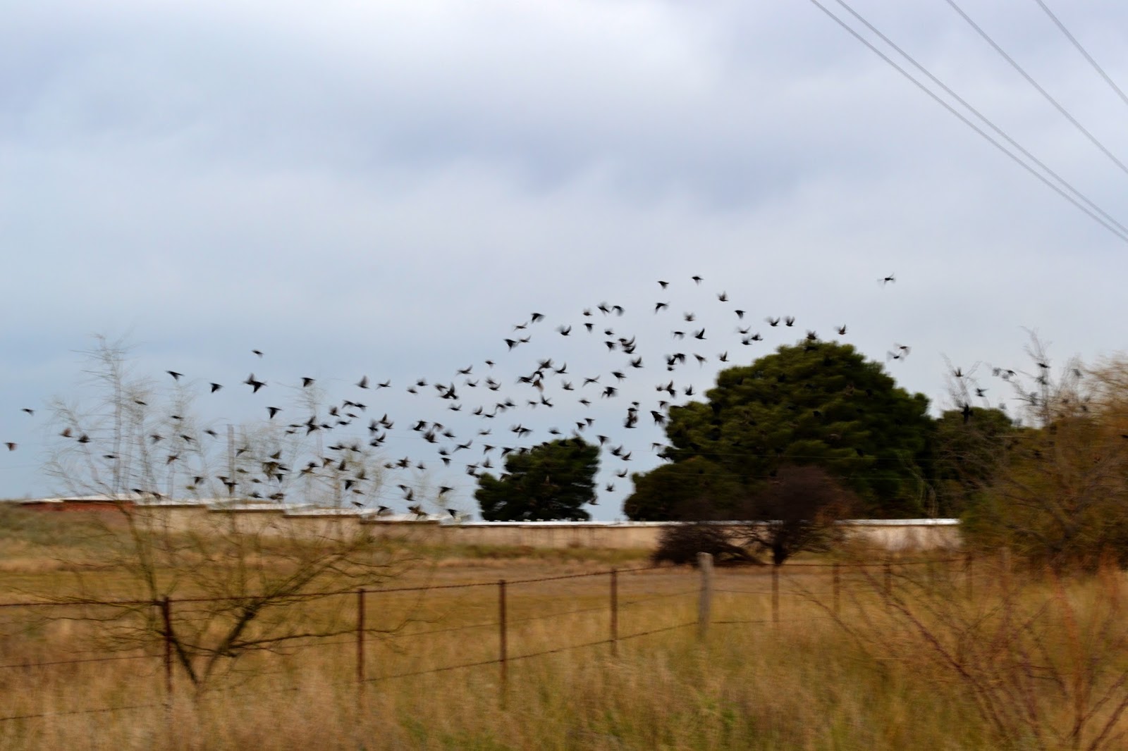 Claudio Tomassini: Médanos - Claudio Tomassini Fotografía