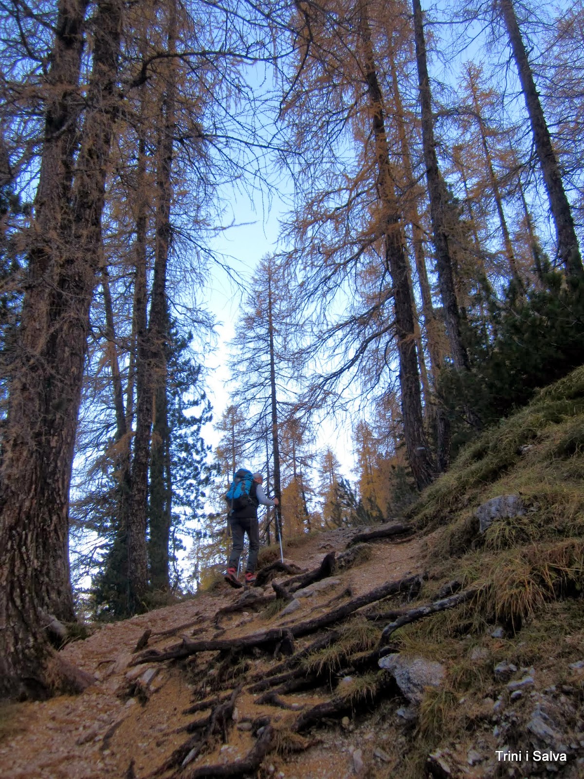 TRINI Y SALVA: Excursión lago Federa y refugio Palmiere - Croda da lago ...