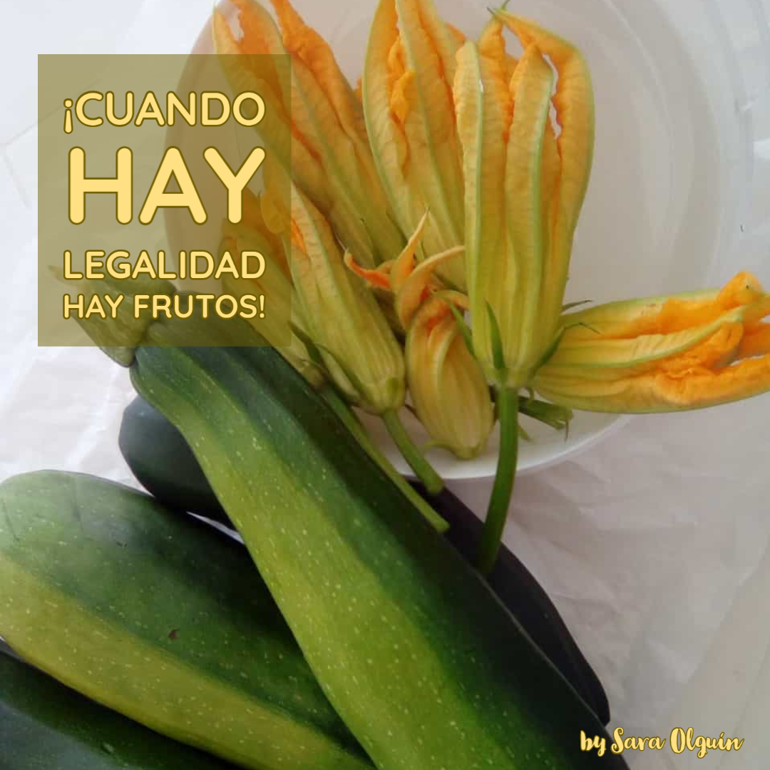 TIEMPO DE LOS PRIMEROS FRUTOS