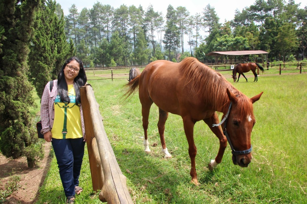 Wisata Kuda ala Cowboy di De Ranch | Sebuah Perjalanan Alam dengan Cinta