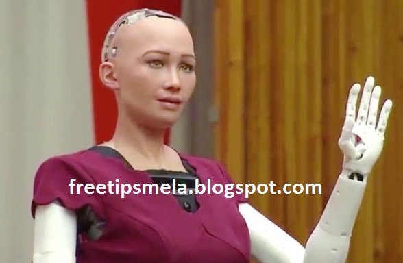 Birth History of Robot Sophia's