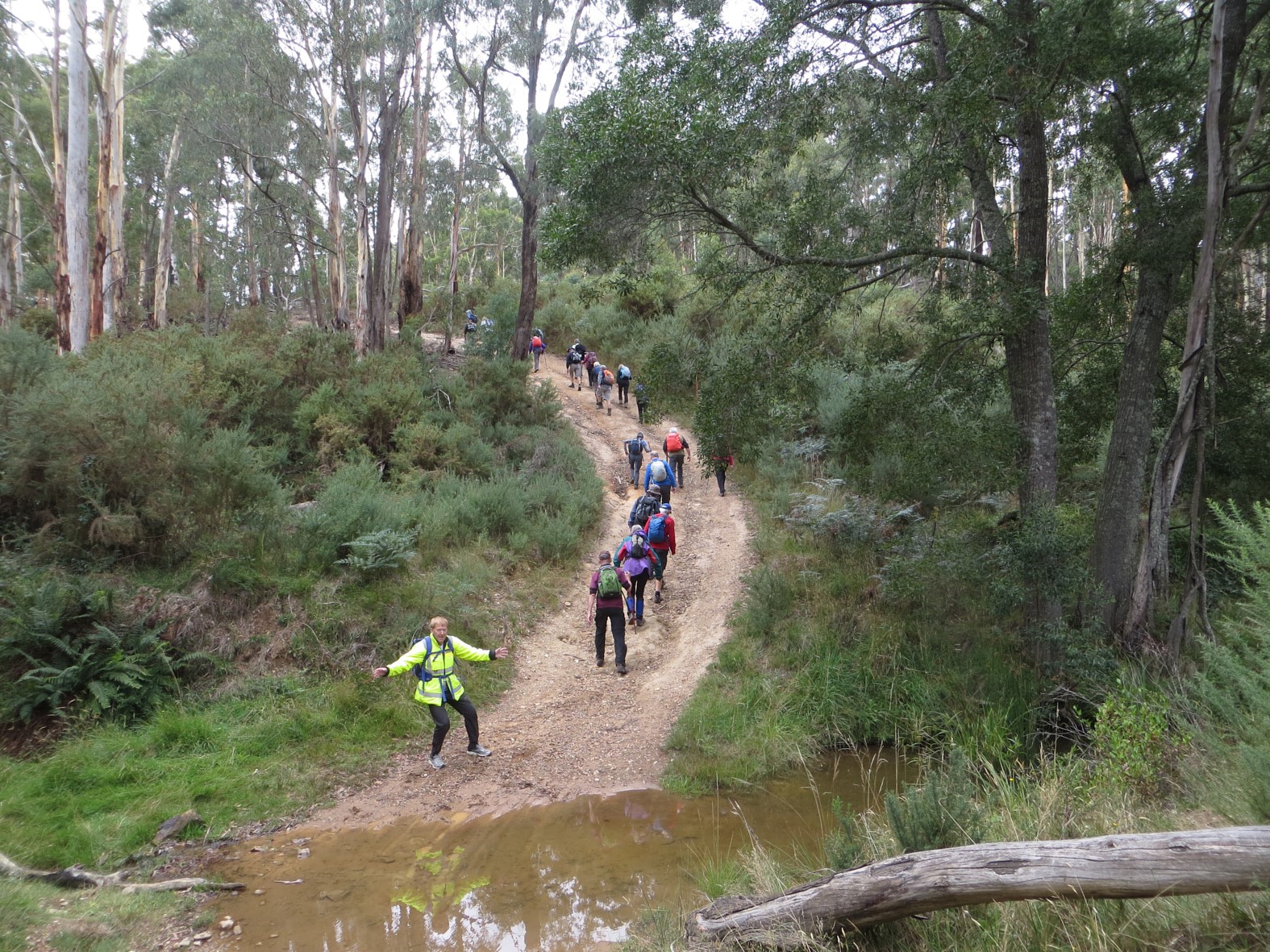 Wallaby Track Stage Three 2020