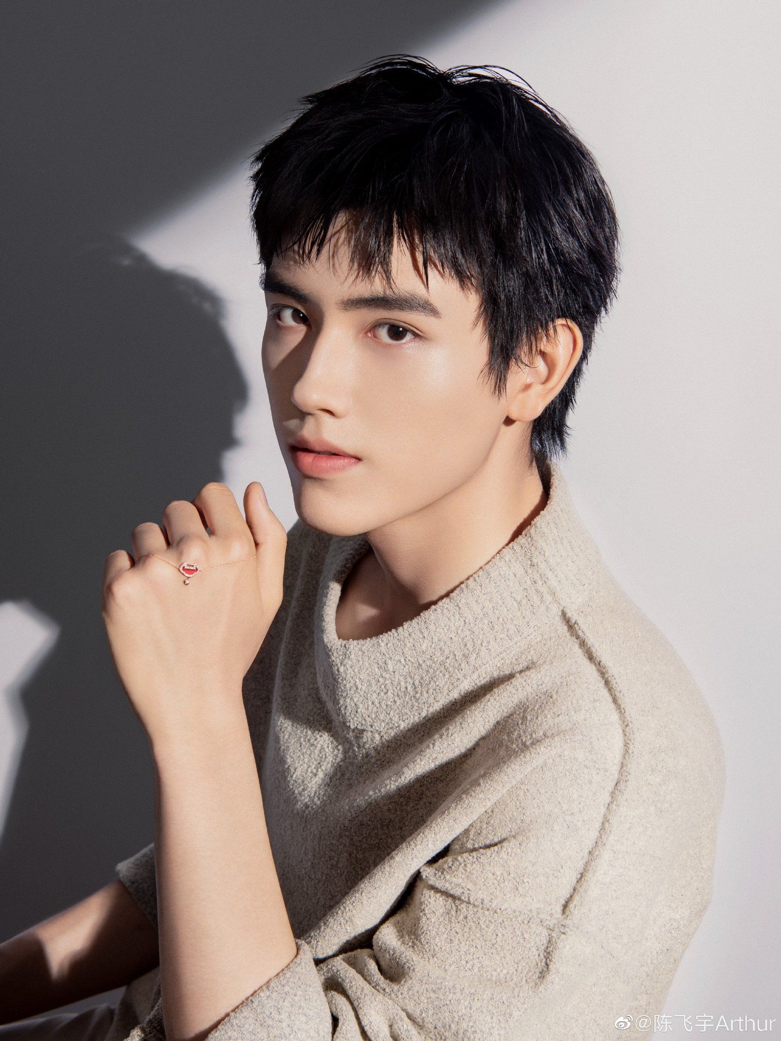 Biodata dan Profil Chen Feiyu 陈飞宇