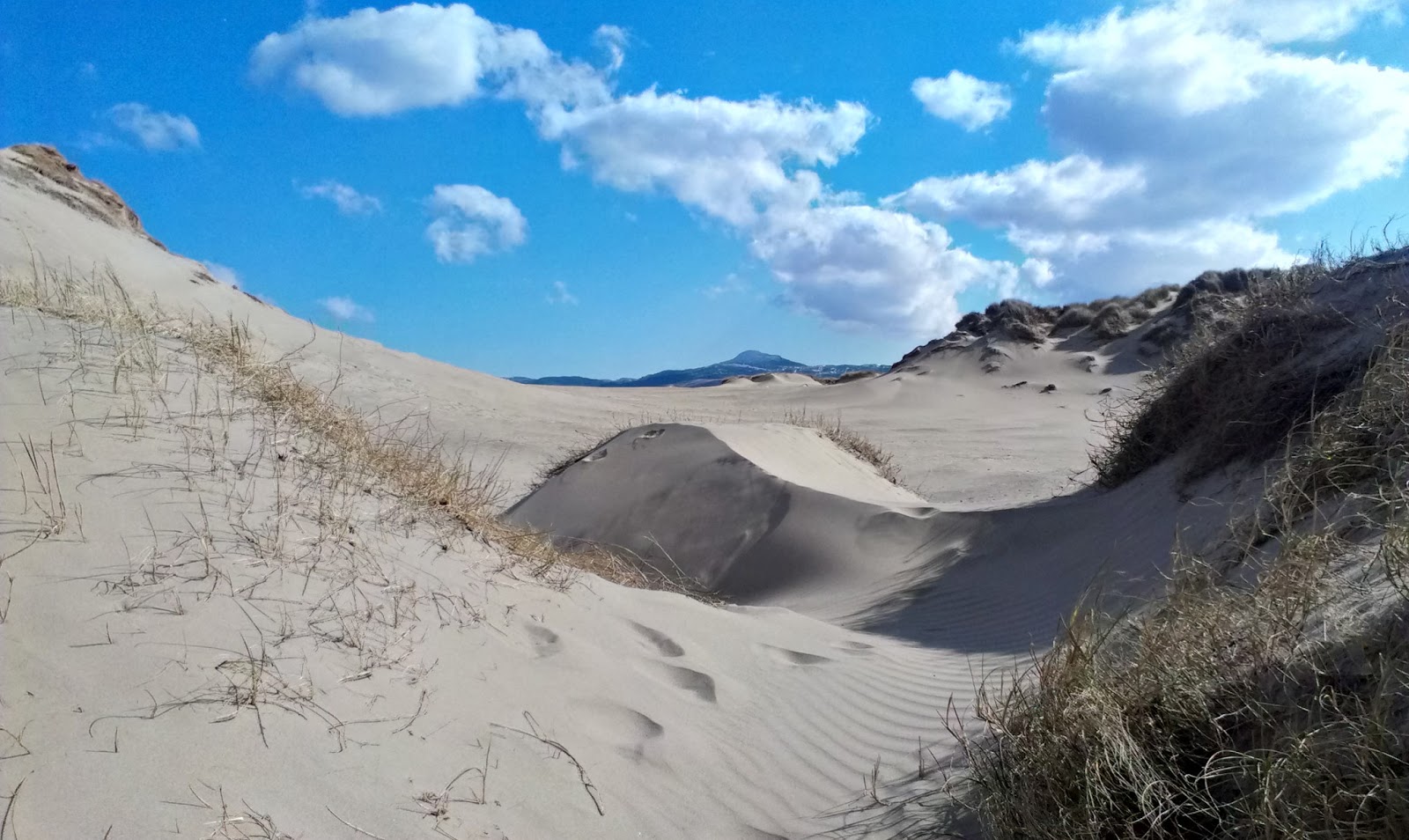 Shell Island - Llanbedr - Camping in North Wales