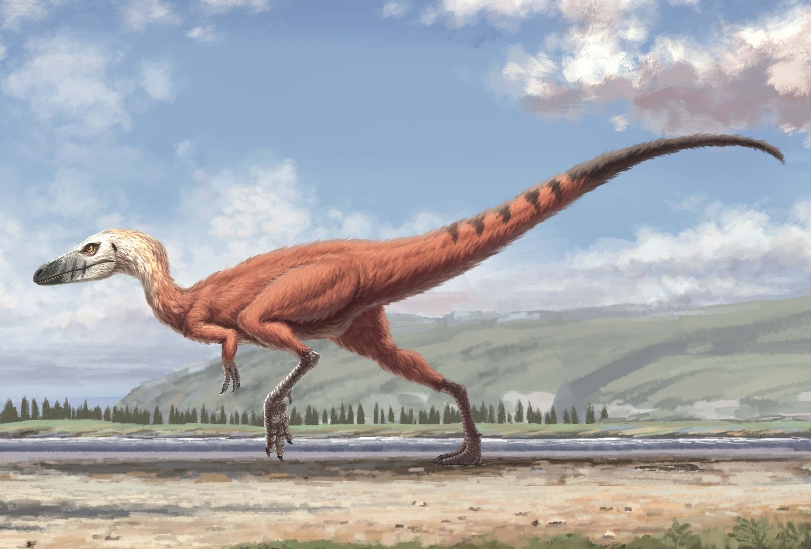 Species New to Science: [Paleontology • 2019] Exquisitely-preserved ...