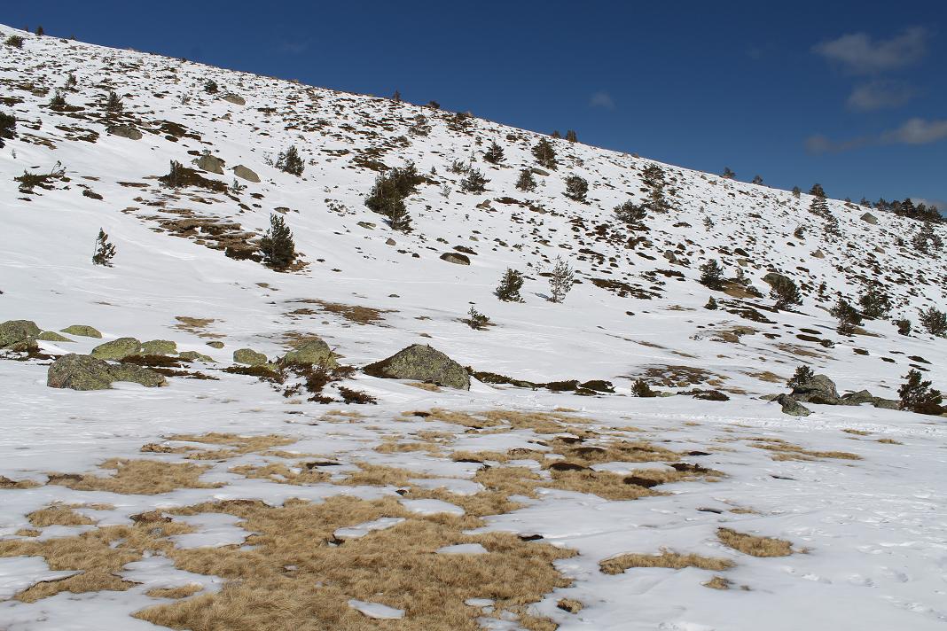 Meteomóstoles: Paseo a la Laguna de Peñalara.