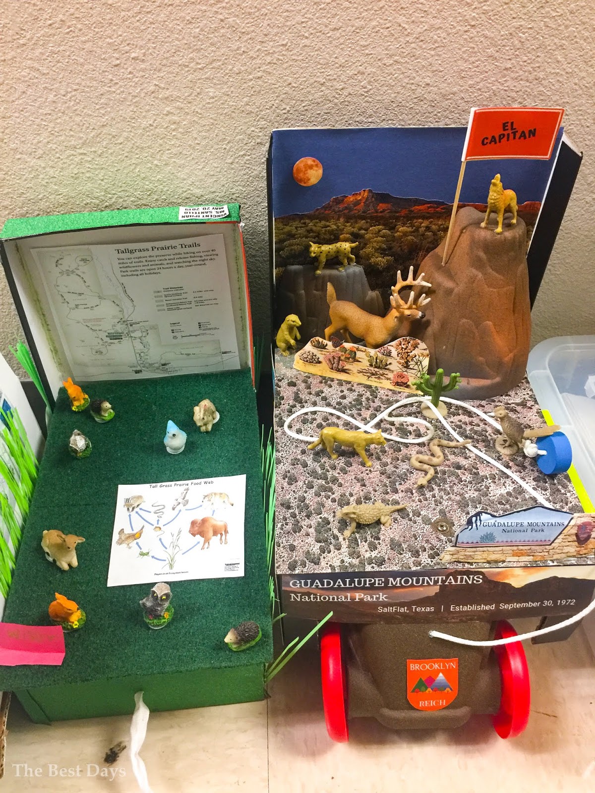 The BEST Days in our Classroom HAVEN'T Happened Yet!: How to Use ...