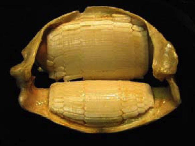 Exhibit Galleries Blog