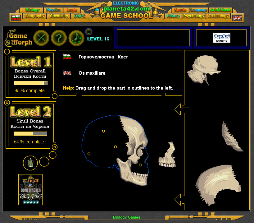 Electronic Game School: Bones Puzzle