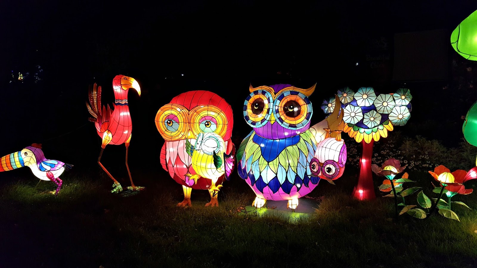 MadSnapper: China Lights in WI