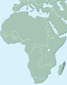 Ecofriendly: Aye-aye