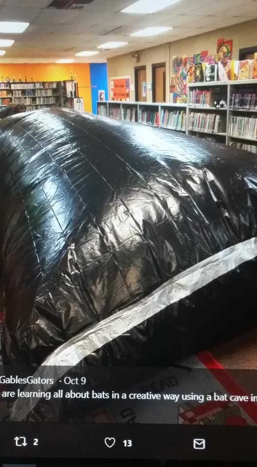 Growing a STEM Classroom: Bats!