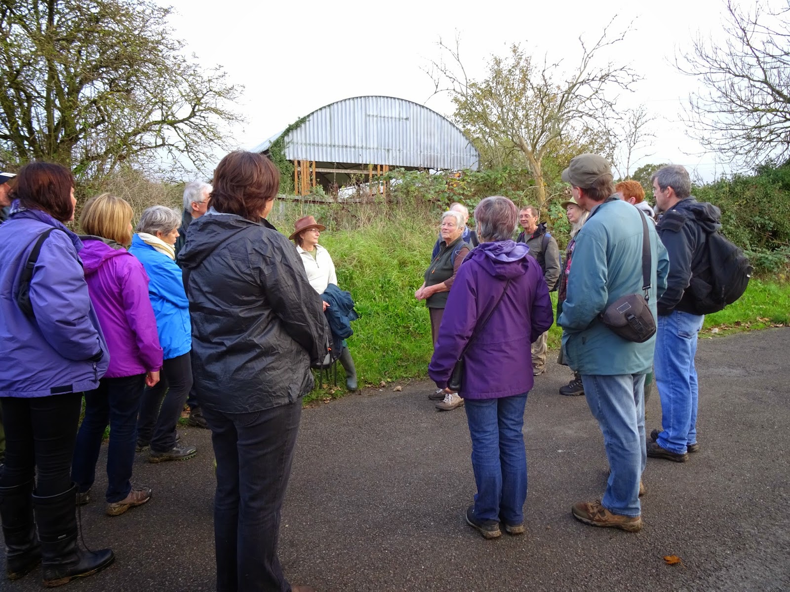 Tolworth Court Farm hedge survey and public walk