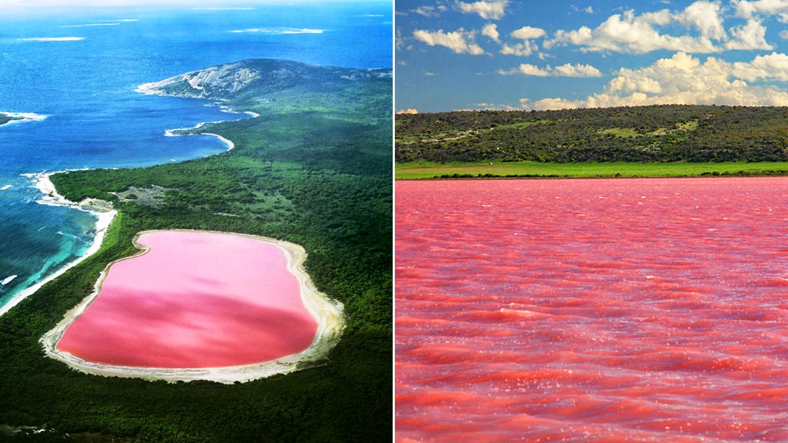 Miscellaneous Views: THE PINK LAKE IN AUSTRALIA