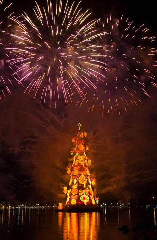 tallest Christmas tree