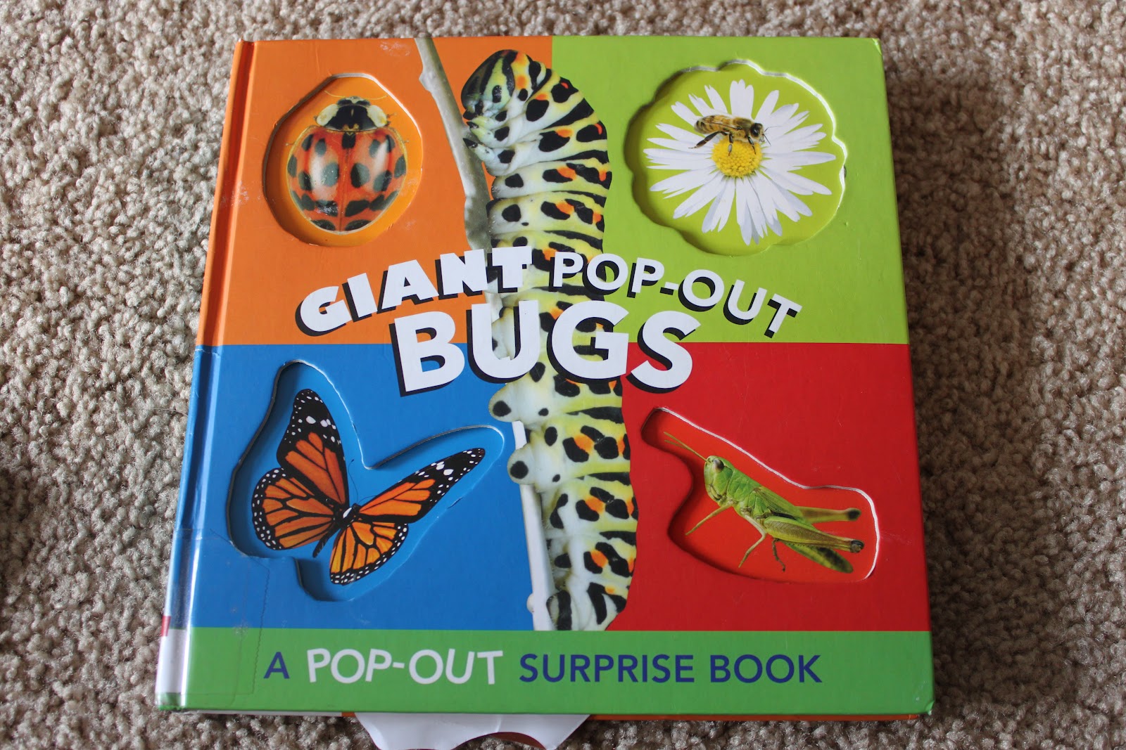Z is for Zel: Bug Books and Activities for Toddlers