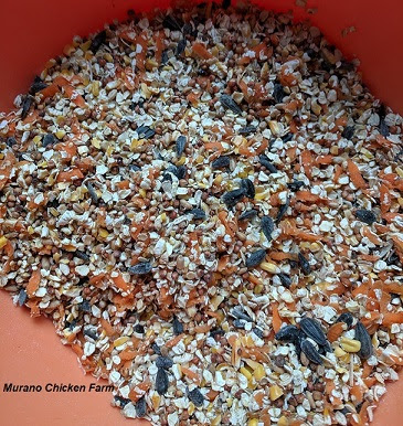 Homemade flock block recipe - Murano Chicken Farm