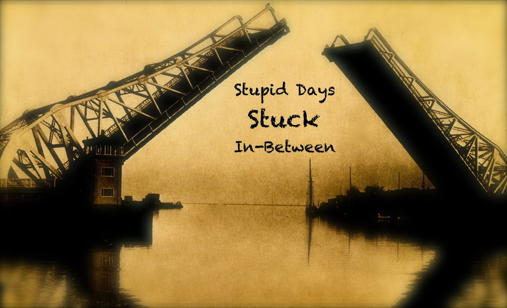 Ralph Harris: Stupid Days Stuck In-Between