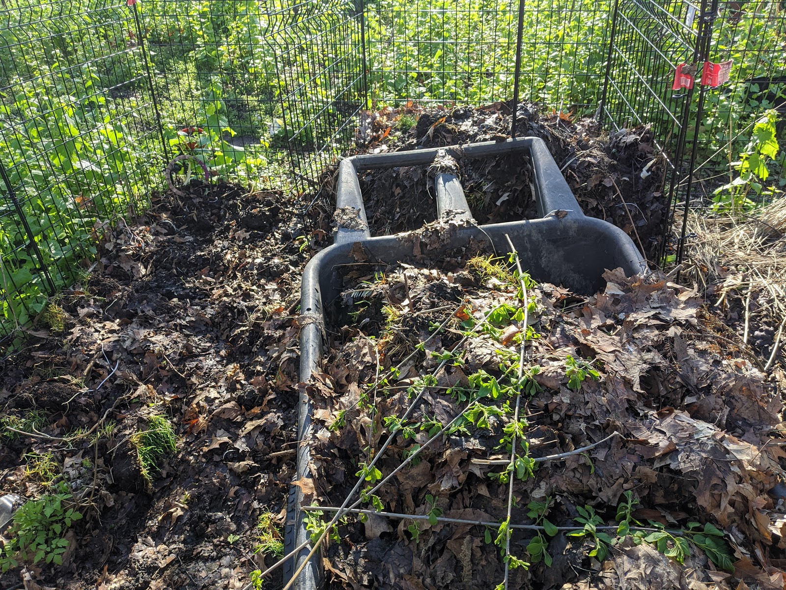 DIY Passive Compost Aeration - Perforated PVC Pipe Inserted ...