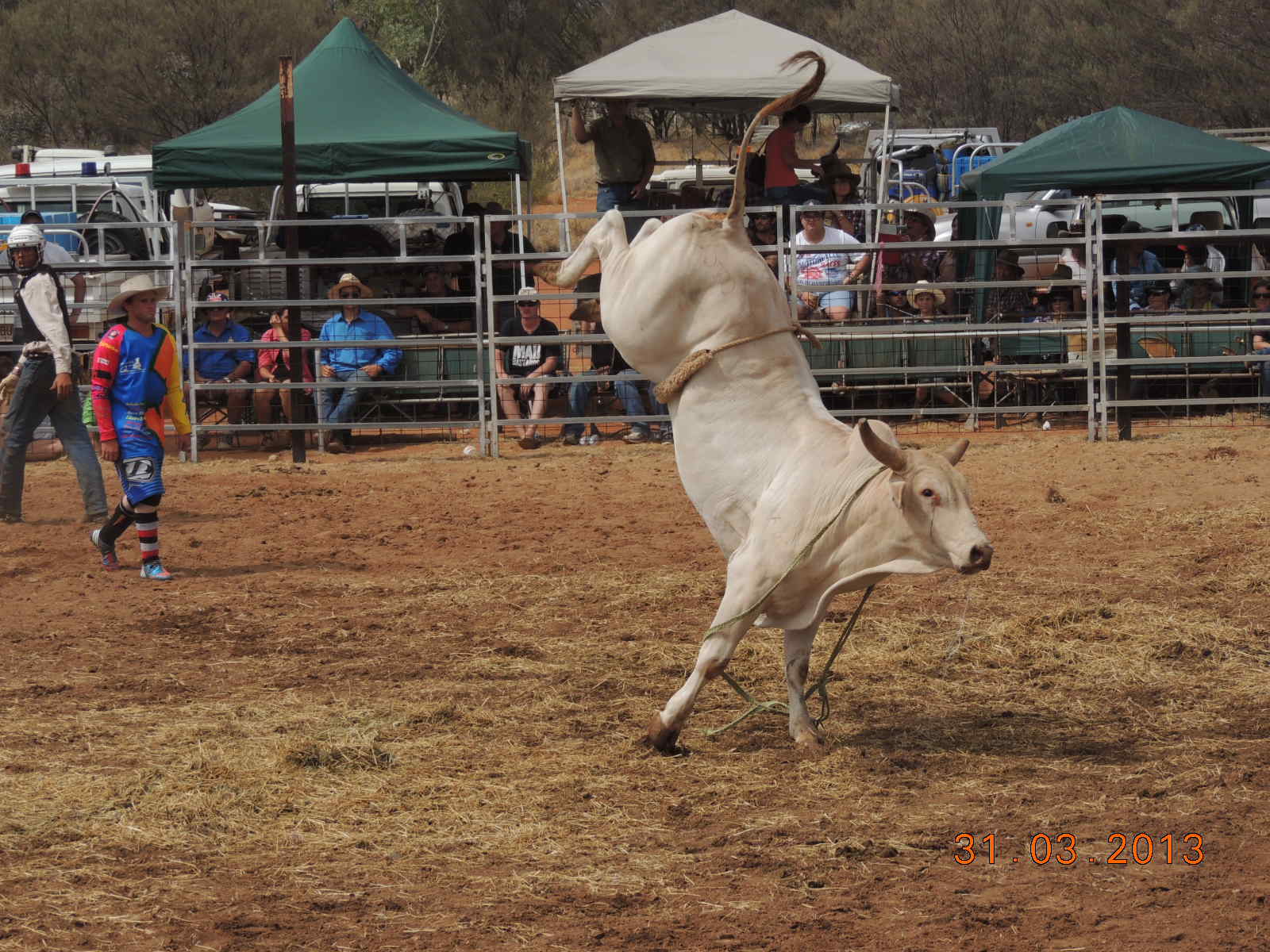 Ron & Anne's adventure: Bulls, dust and broken bones