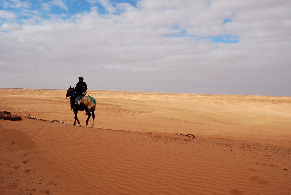 Tunisie - l'oasis de Ksar Ghilane et les dunes de Sabria - Les routes ...