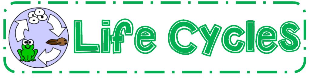 GWA Fourth Grade Blog: Science - Ch. 2 Life Cycles