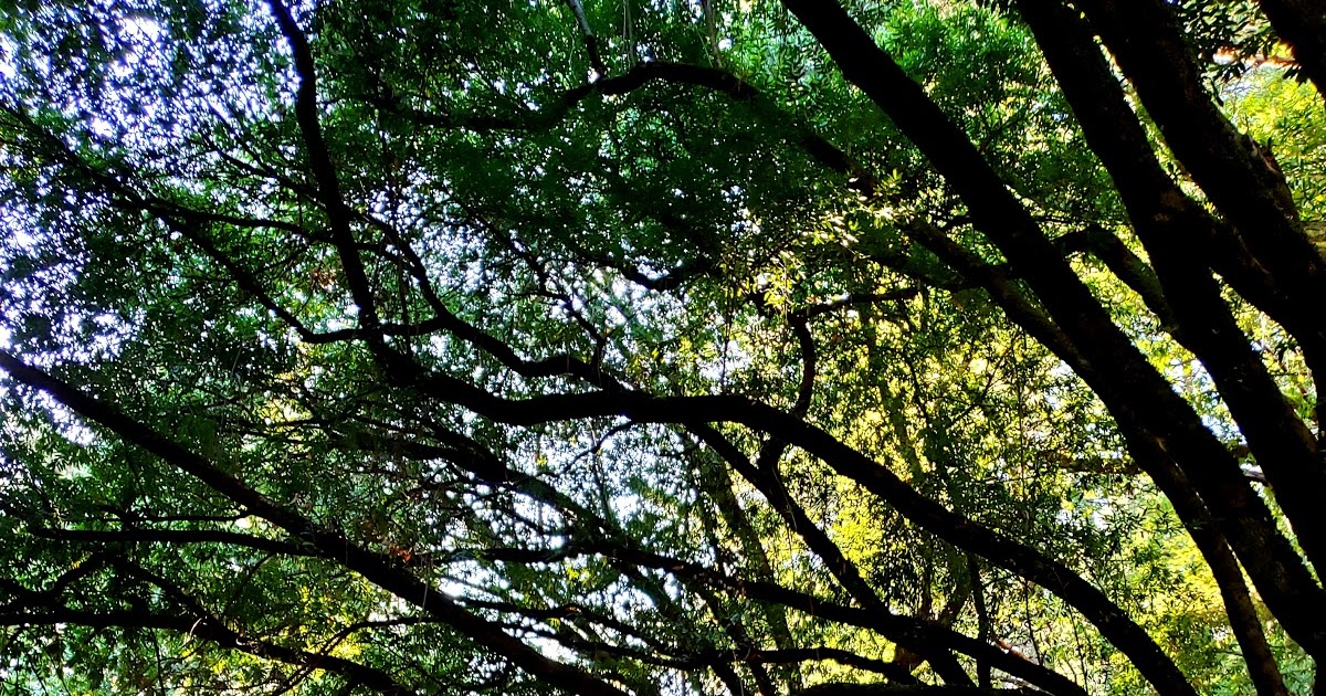 Wunderlich County Park