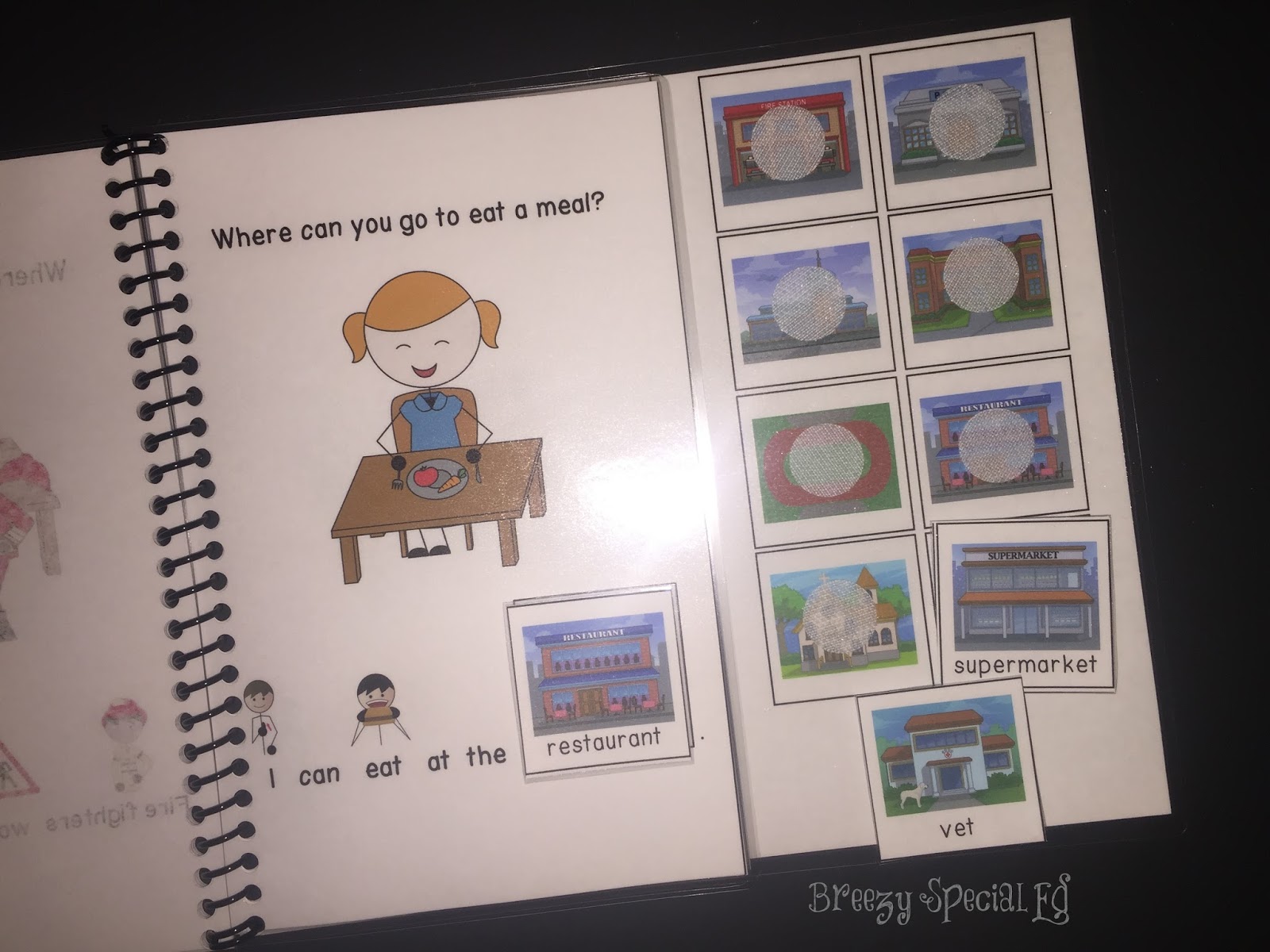 Community Places Curriculum - Breezy Special Ed