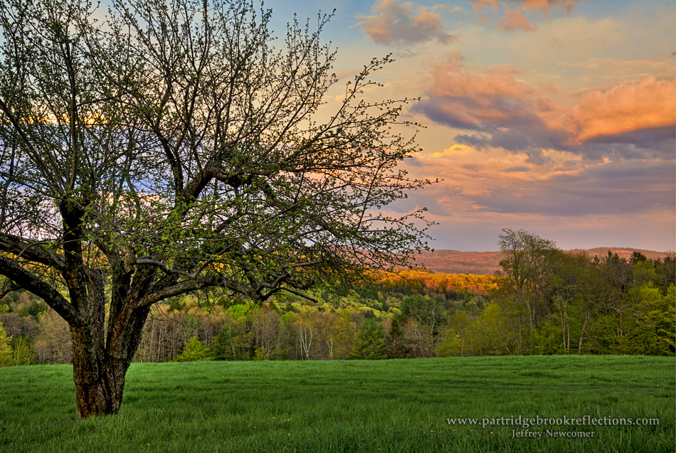 Getting it Right in the Digital Camera : Photographic Treasures of ...