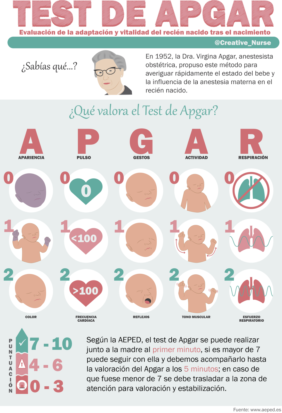 Tunjuk Id Mengenal Virginia Apgar Penemu Skor Apgar P - vrogue.co