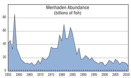 Fly & Light Tackle Angler: Stewardship