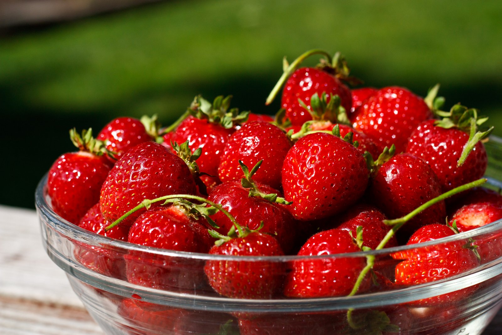Berry Picking at Biringer Farm - home is where my story begins...