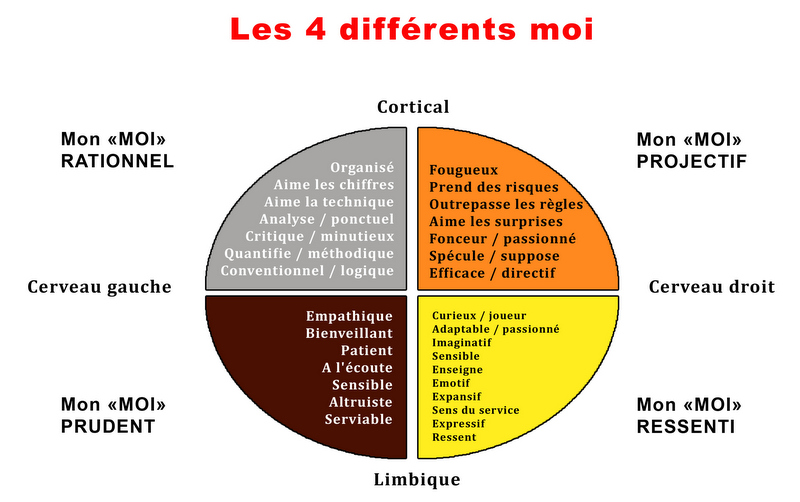 MIEUX COMPRENDRE LA PROGRAMMATION NEURO-LINGUISTIQUE (PART 3)