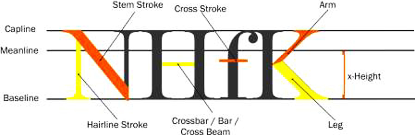 Pengertian Anatomi Huruf dalam Tipografi yang Benar