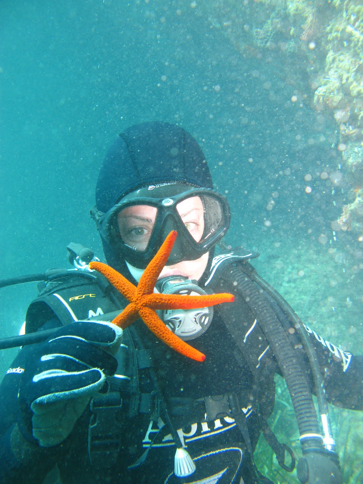 Petries Divers Club: καταδυση στο Γαρδο