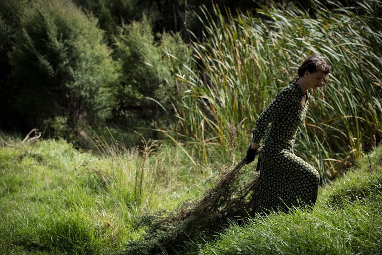 B r y d e e R o o d : A r t i s t