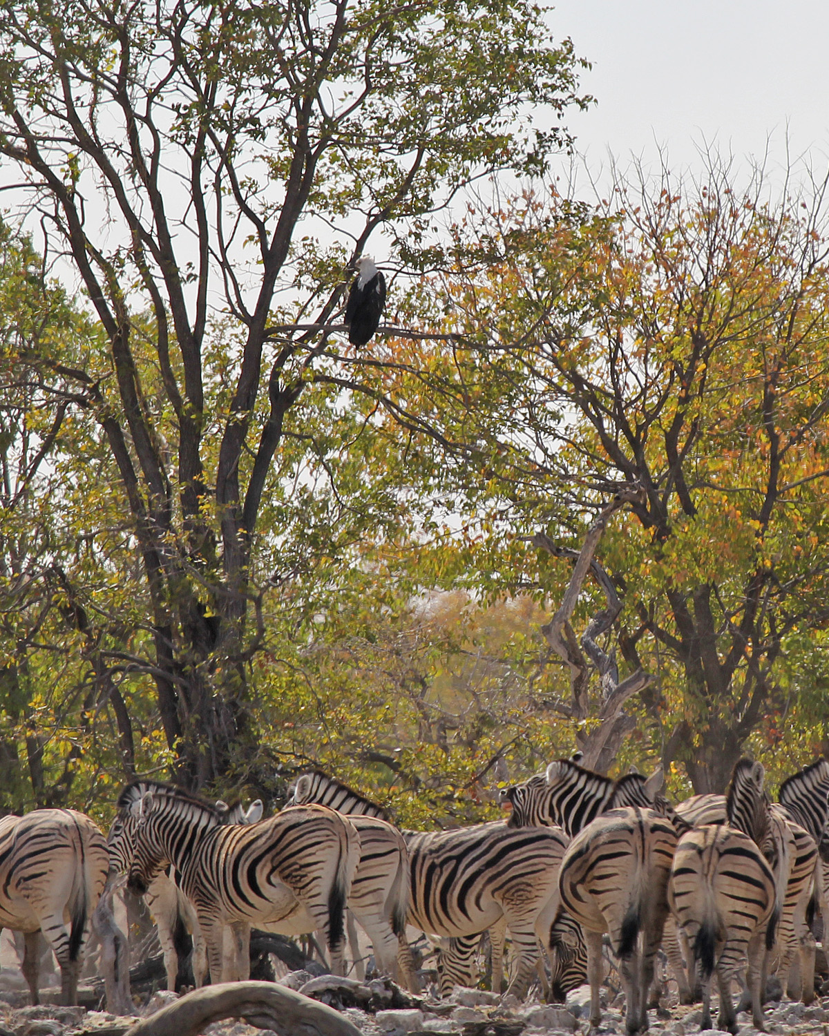 Away From Four Marks: September 2013