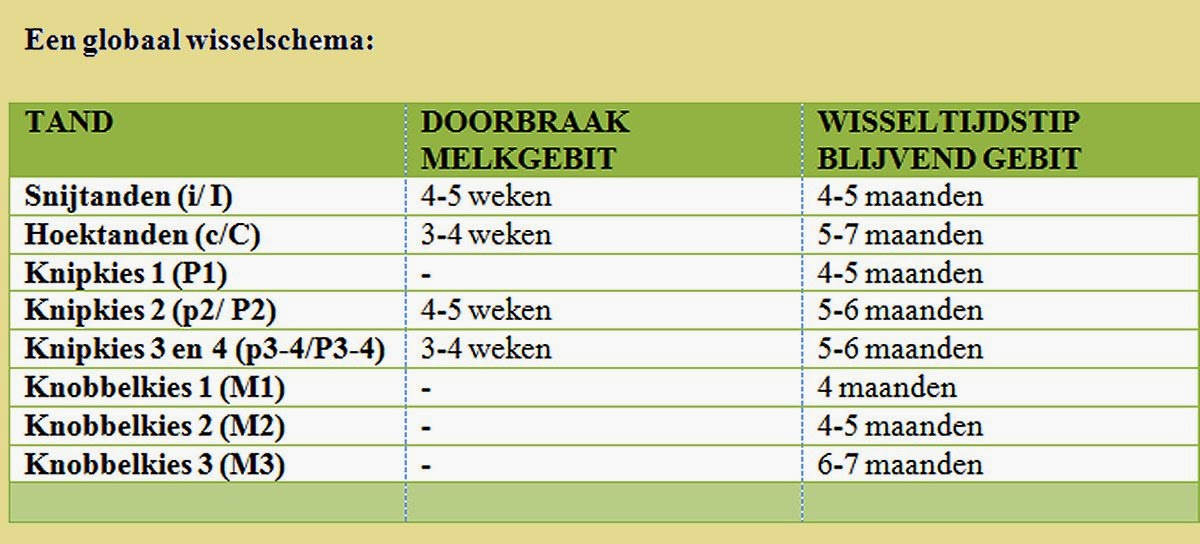 van Meinweg Labradors: Het gebit van de hond