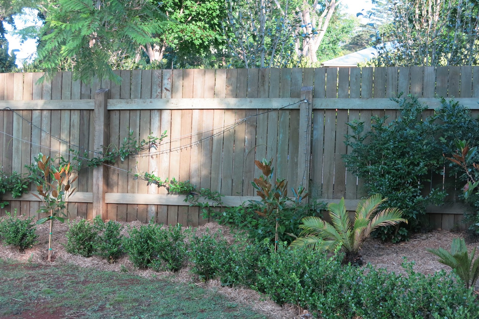 A Labour of Love - Renovation @ 108: Flashbacks, new Magnolia garden ...