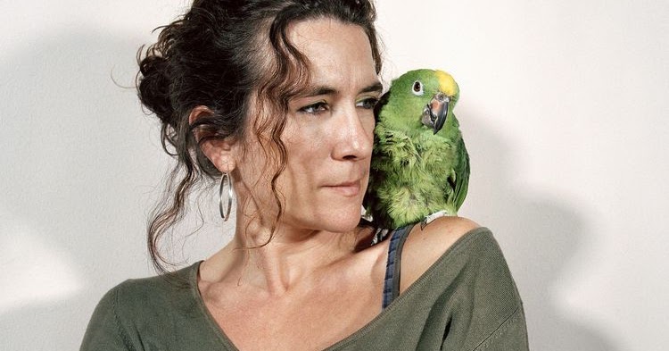 birds: A Way of Handling Your Pet Bird