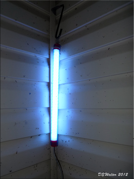 The Home Bug Garden: Moth Week 6: Blacklighting for Moths - Updated