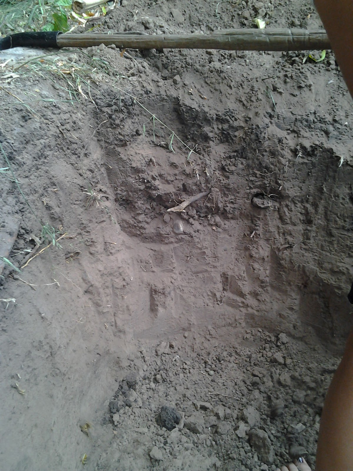 CALICATA LOPEZ GONZALEZ SACHEZ 10º