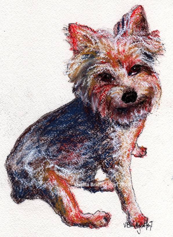 One Painting a Day: Homeless Yorkie dog painted by Vernita Hoyt