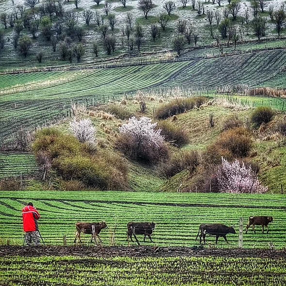 26 super beautiful landscape pictures, and tips, you should check out