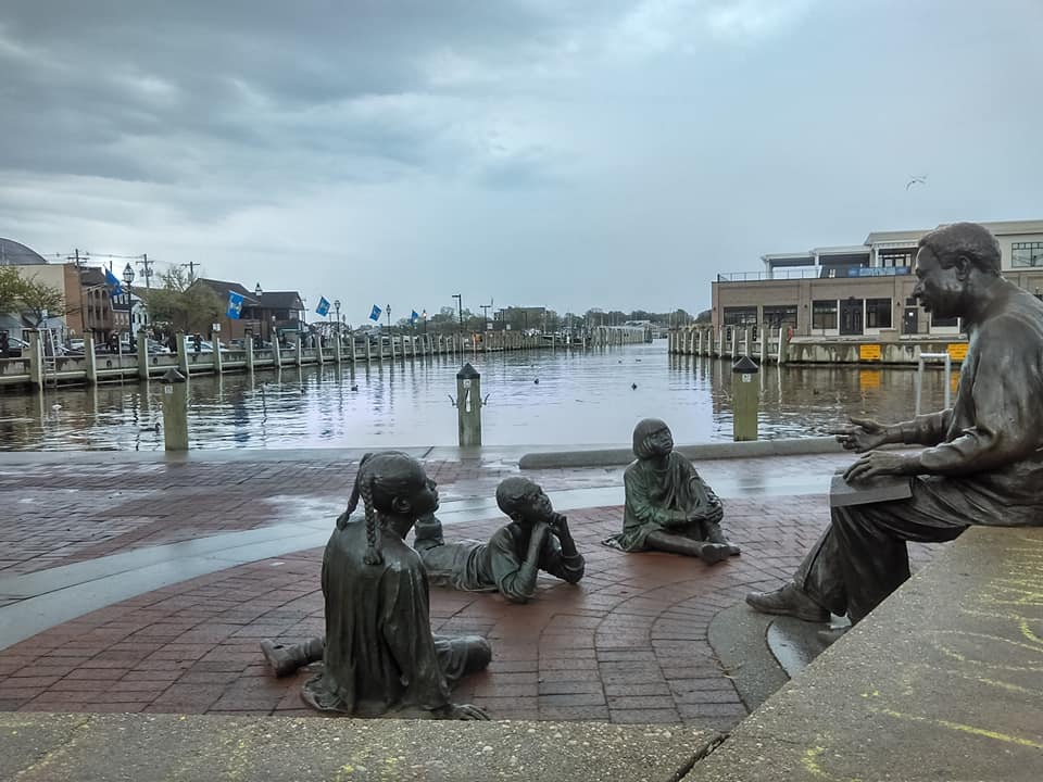 America First Libertarian: Code Blue States