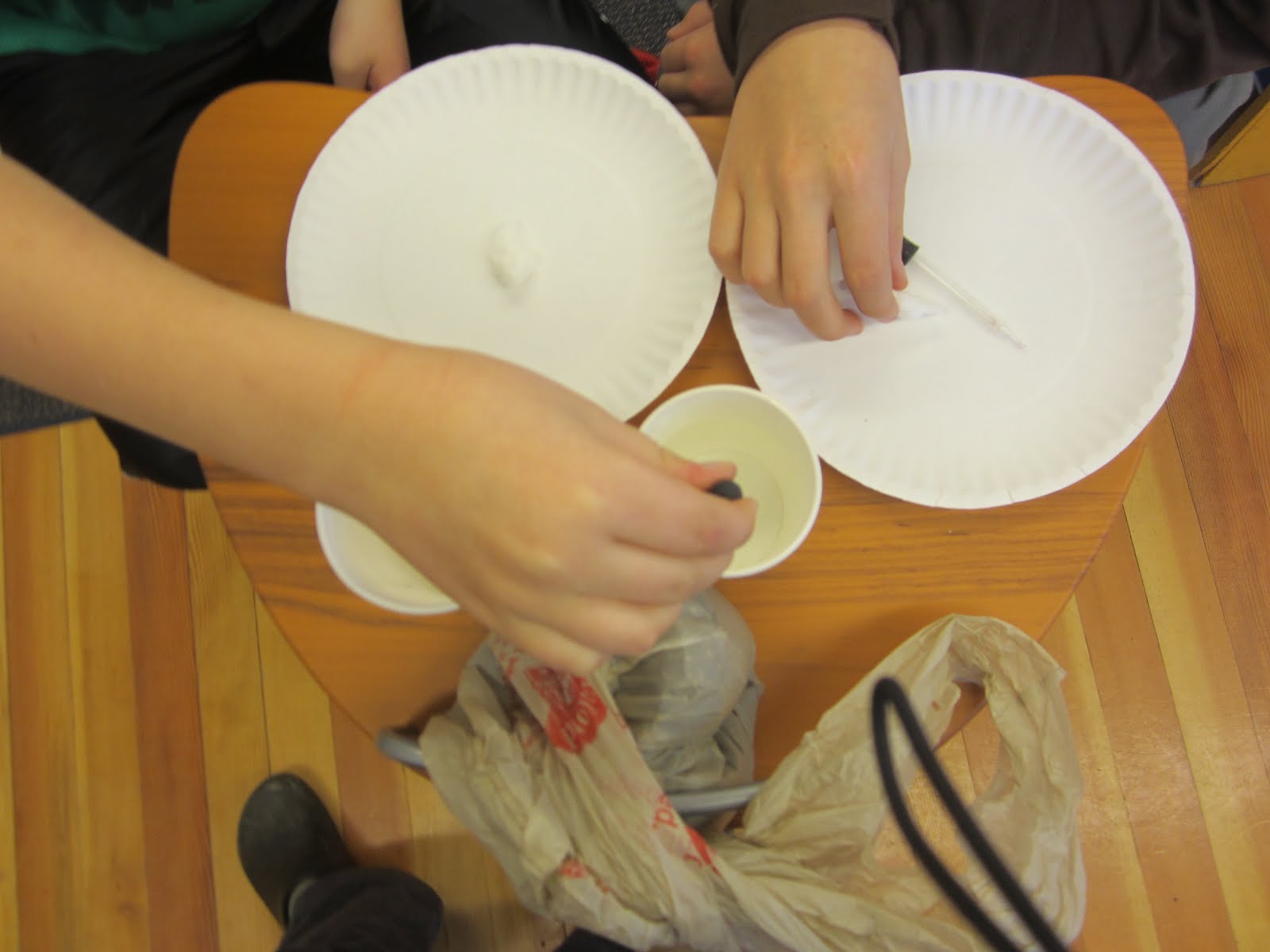 Monhegan Madness: Weathering and Erosion!