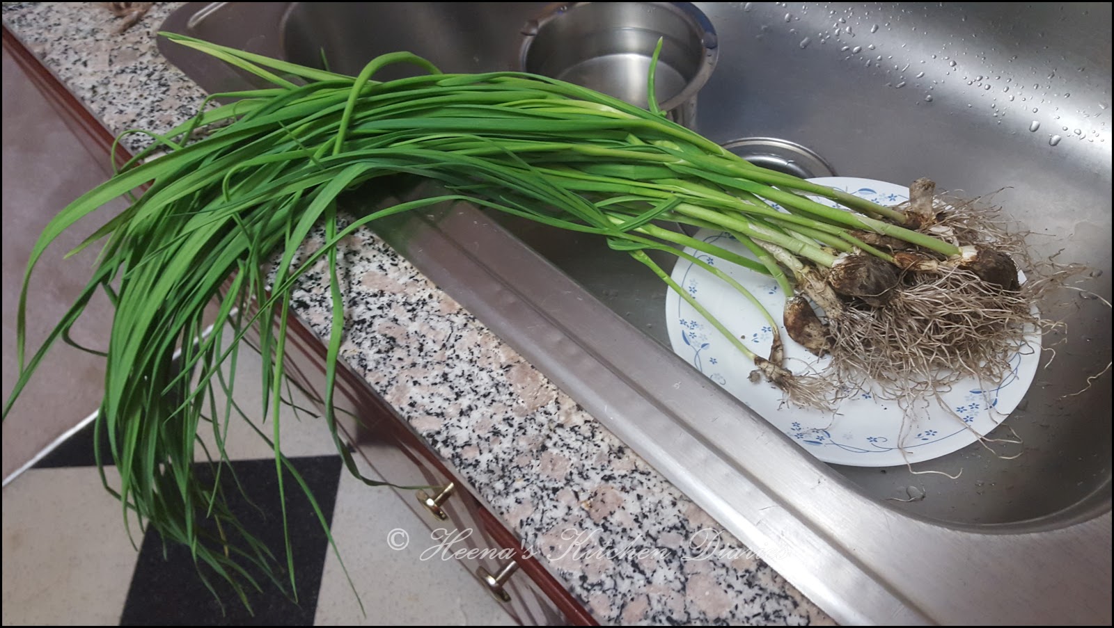 Heena's Kitchen Diaries: How to Store / Freeze Fresh Green Garlic