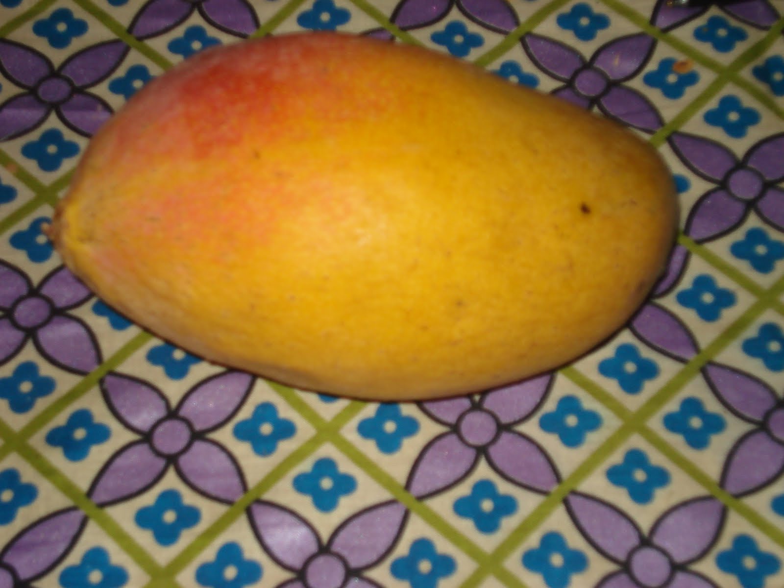 Project F.O.O.D.: 2011