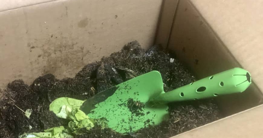 Arjunpuri in Qatar: How to compost in a cardboard box at home