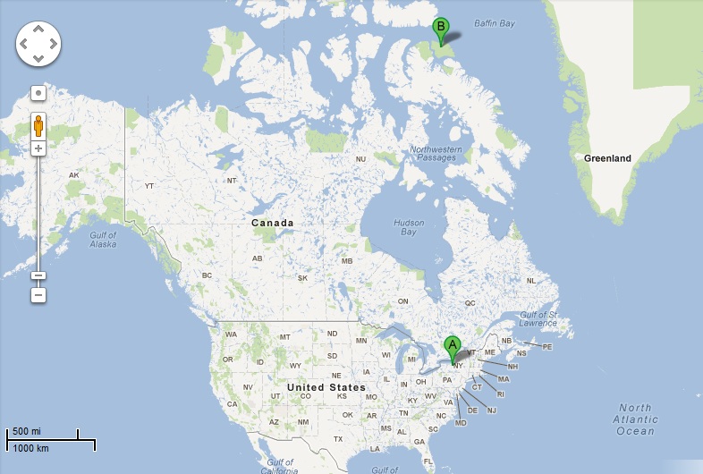 The Nomadic Naturalist: More on Snow Geese